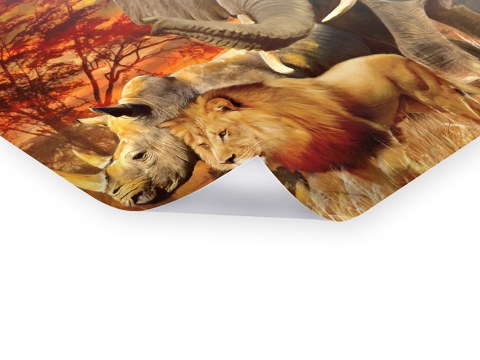 Beeindruckendes Big Five-Bild online bestellen | myposter