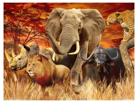 Beeindruckendes Big Five-Bild online bestellen | myposter